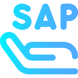 Sap - Free seo and web icons
