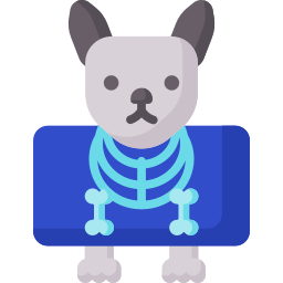 X ray - Free animals icons