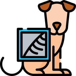 X ray - Free animals icons