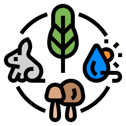 Ecosystem - Free nature icons