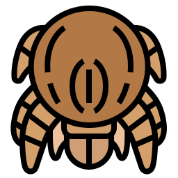 Bug - Free animals icons