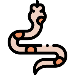 Snake - Free animals icons