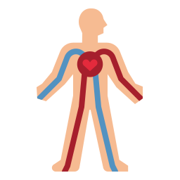 Circulatory system - Free healthcare and medical icons