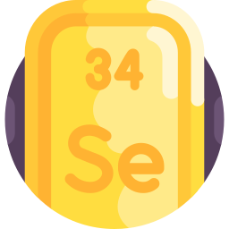 Selenium - Free education icons