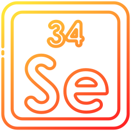 Selenium - Free education icons