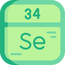 Selenium - Free education icons