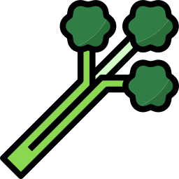 Celery - Free food icons
