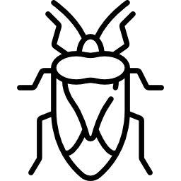 Bug - Free animals icons