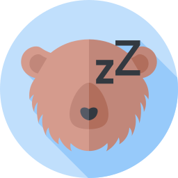 Hibernate - Free animals icons