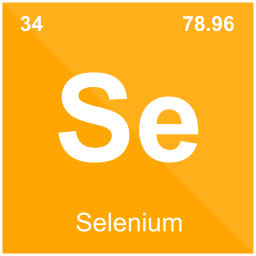 Selenium - Free education icons