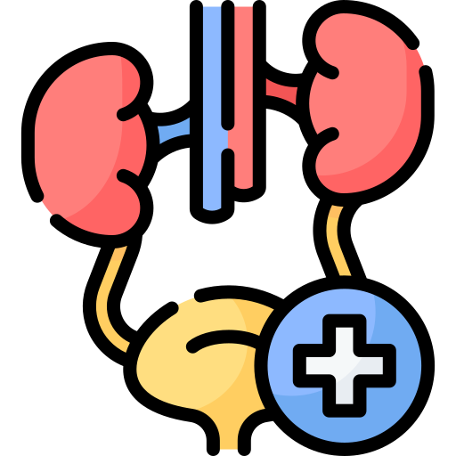 Urology - free icon Urology - free icon