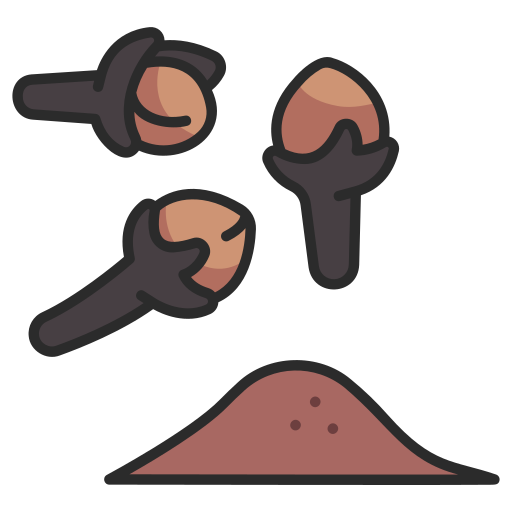 Clove Maxicons Lineal Color Icon