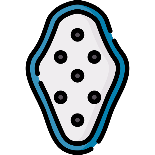 Groin Special Lineal Color Icon
