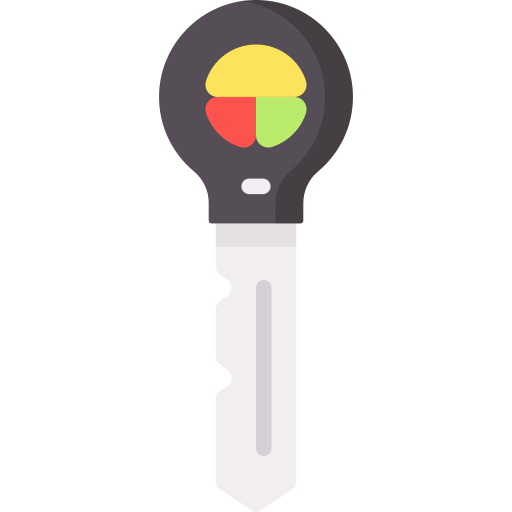 Key Special Flat icon