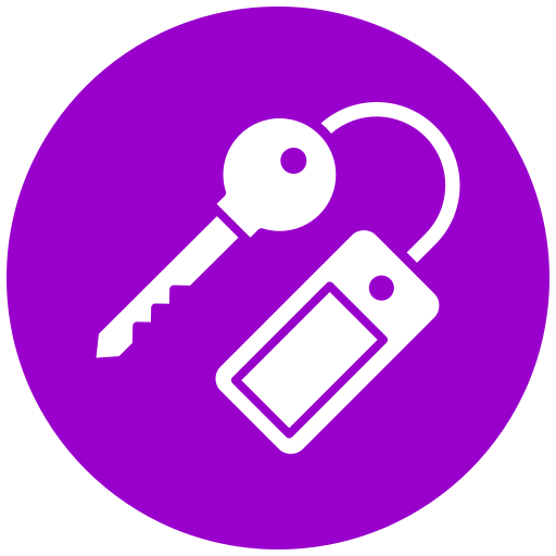 Key Generic color fill icon